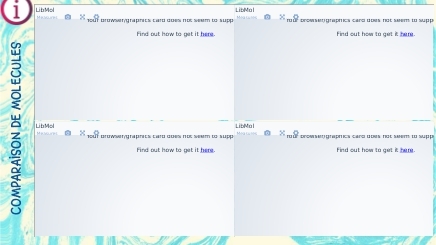 Libmol 4 fenêtres | Genially