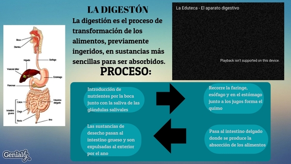 DIGESTIÓN | Genially