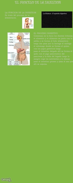 LA DIGESTIÓN | Genially