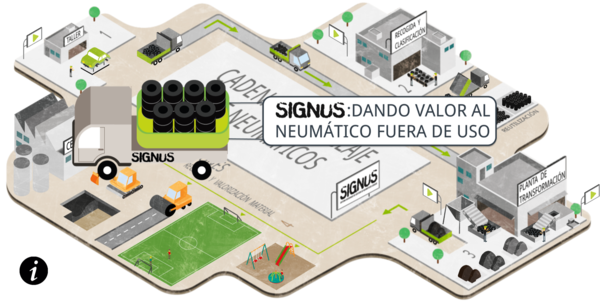 SIGNUS