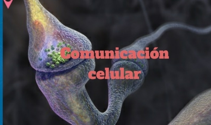 COMUNICACIÓN CELULArR | Genially