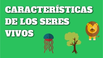 CARACTERÍSTICAS DE LOS SERES VIVOS