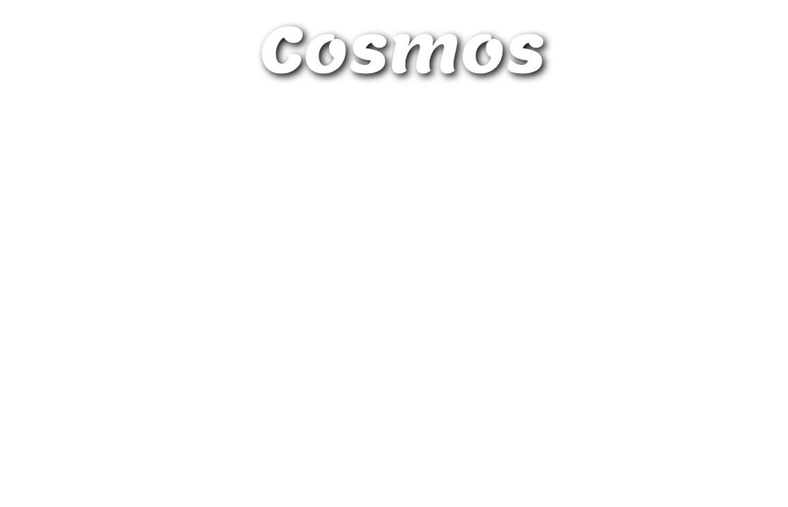 cosmos