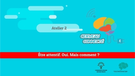 CERVEAU PLUS M2 V1 | Genially