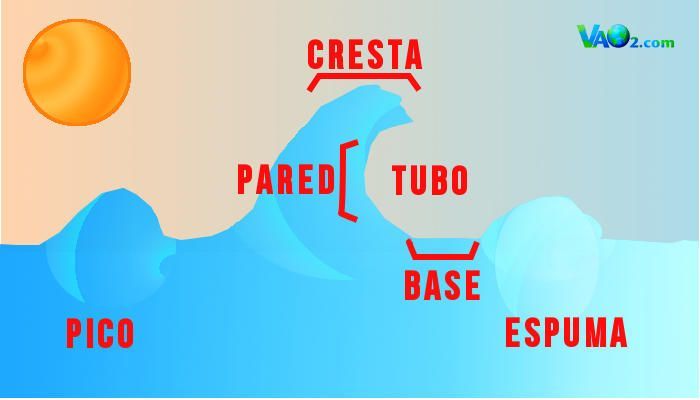 Infografía del surf