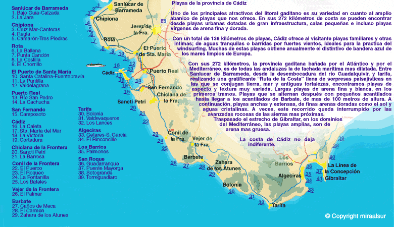 Infografía del surf