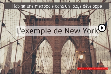 Habiter une métropole : NY