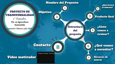 Proyecto de Transversalidad CBTA No. 254