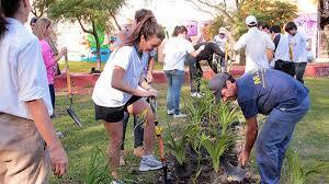 Helada negra en Torreón Coahuila. | Genially