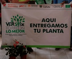 Helada negra en Torreón Coahuila. | Genially