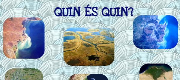Quin és quin? | Genially