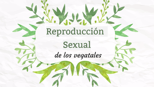 Reproducción Sexual de los Vegetales | Genially