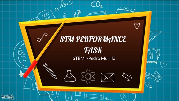STM PERFORMANCE TASK