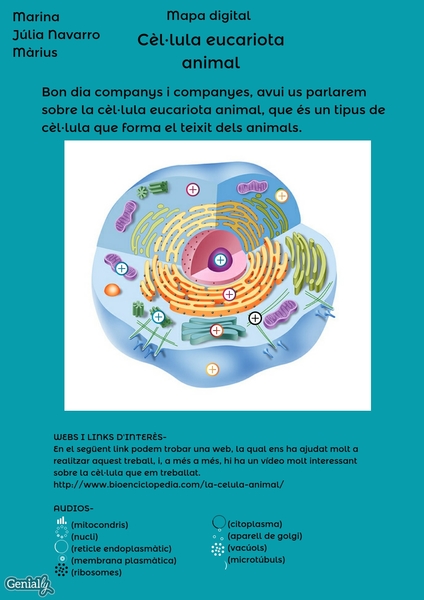 LA CÈL·LULA GRUP 6 | Genially