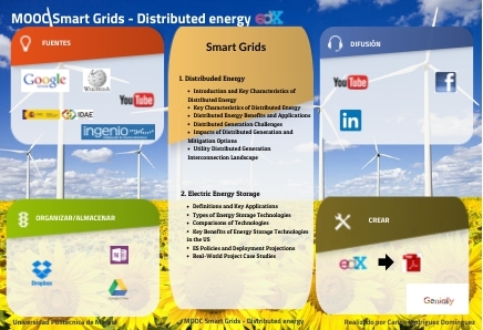 PLE MOOC Smart Grids