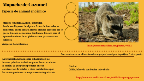 Infográfia animal endémico
