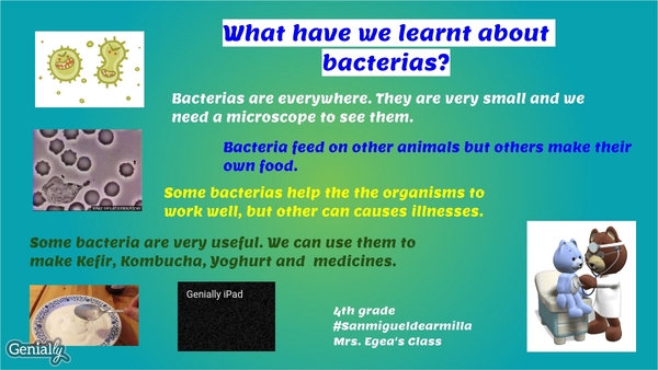 Bacterias