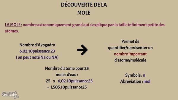 DÉCOUVERTE DE LA MOLE - Copy