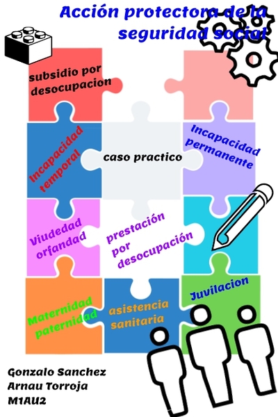 Acción protectora de seguredad social
