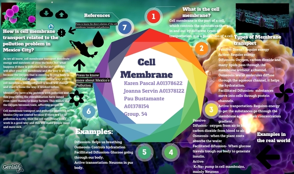 Cell Membrane | Genially
