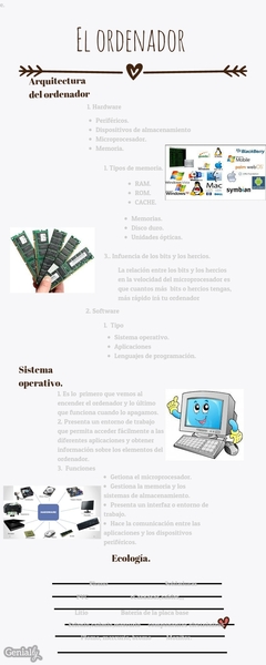 Infografía de Iris