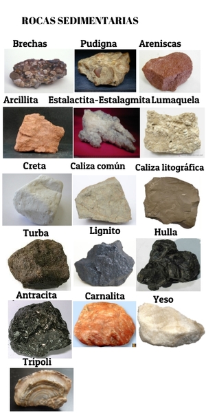 ROCAS SEDIMENTARIAS | Genially