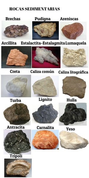 Untitled Genially - Copy | Genially