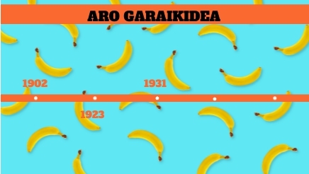 ARO GARAIKIDEA Genially