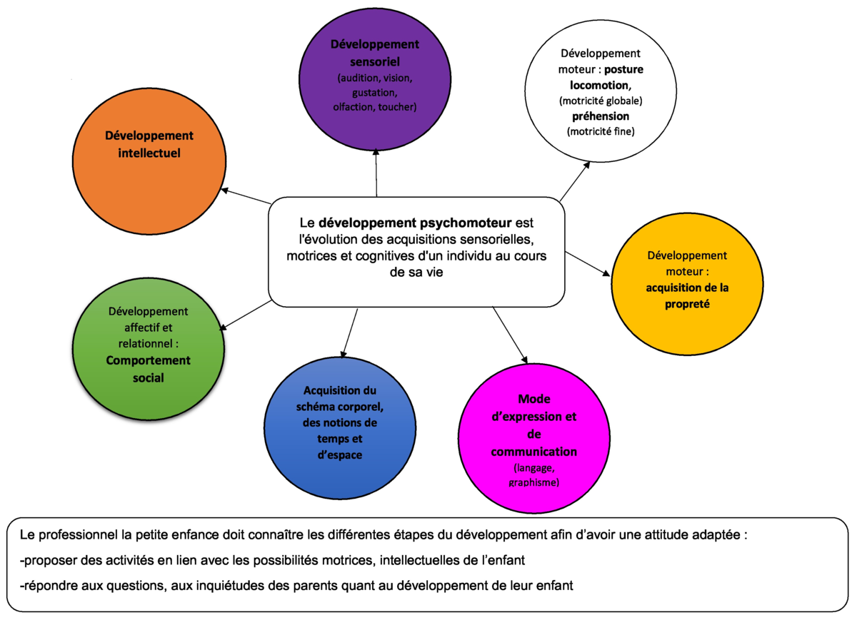 le developpement psychomoteur | Genially