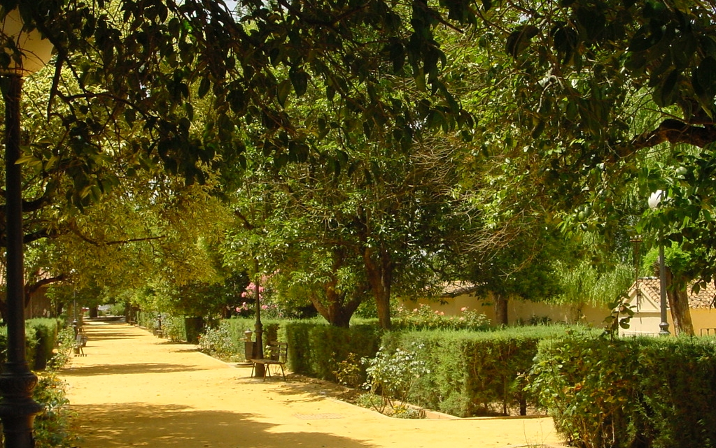 Parque de Higuera | Genially
