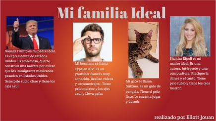 Mi familia Ideal