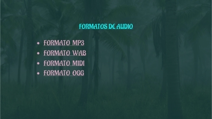 FORMATOS AUDIO
