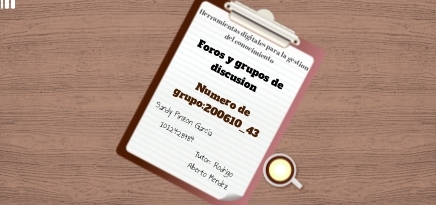 Foros y grupos de discusion
