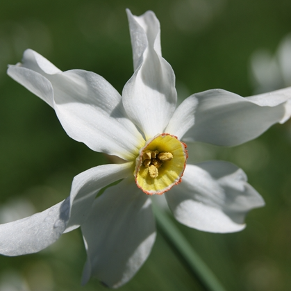 DOSSIER PARRÒQUIES | Genially