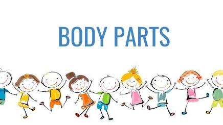 BODY PARTS | Genially