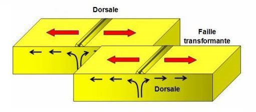 Faille transformante
