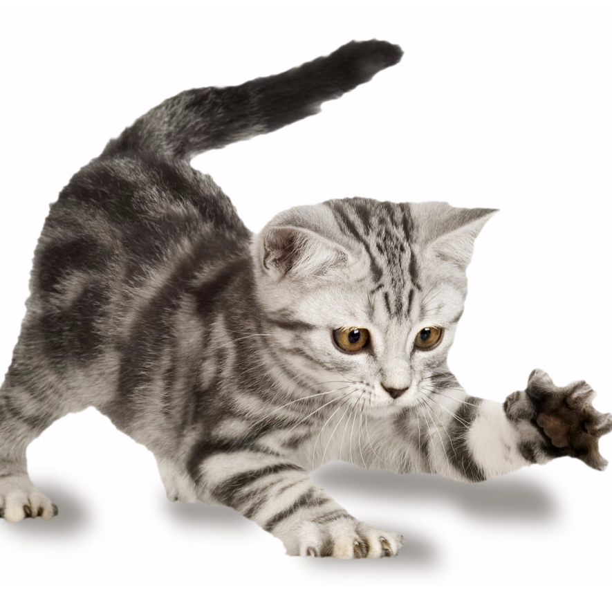 Quiero se Au Pair. Cómo elegir una familia. | Genially