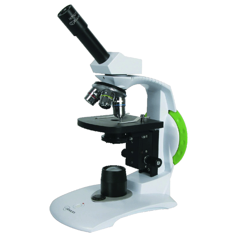Utiliser le microscope | Genially