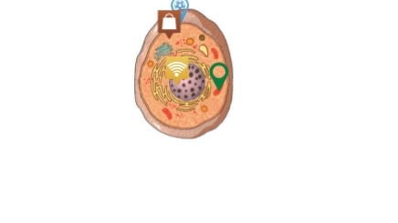 animali zelula | Genially