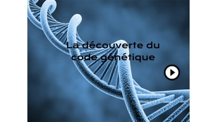 Les mystères du code génétique | Genially