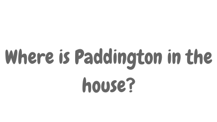 Where's Paddington in the house? | Genially