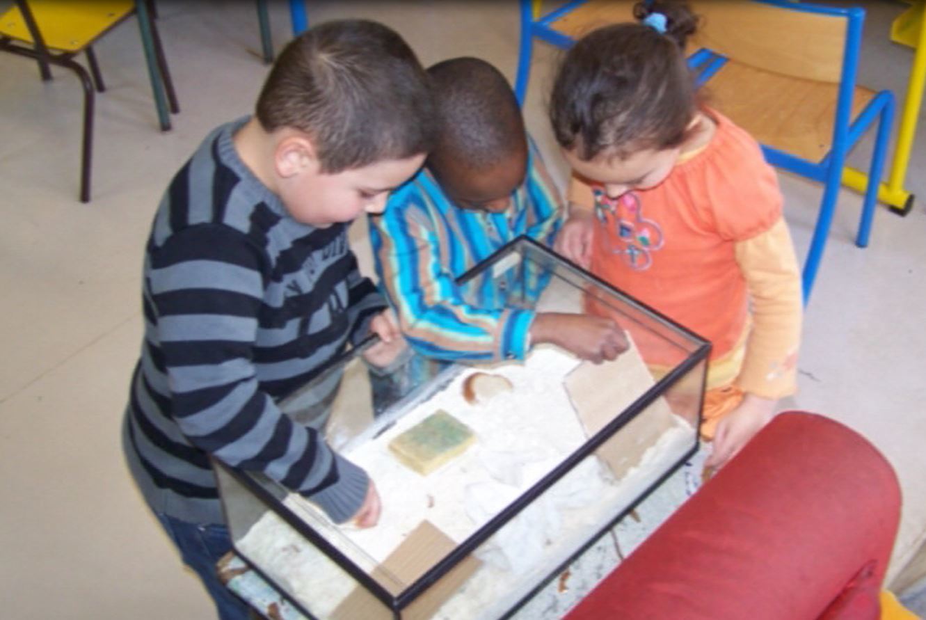 un élevage en classe | Genially